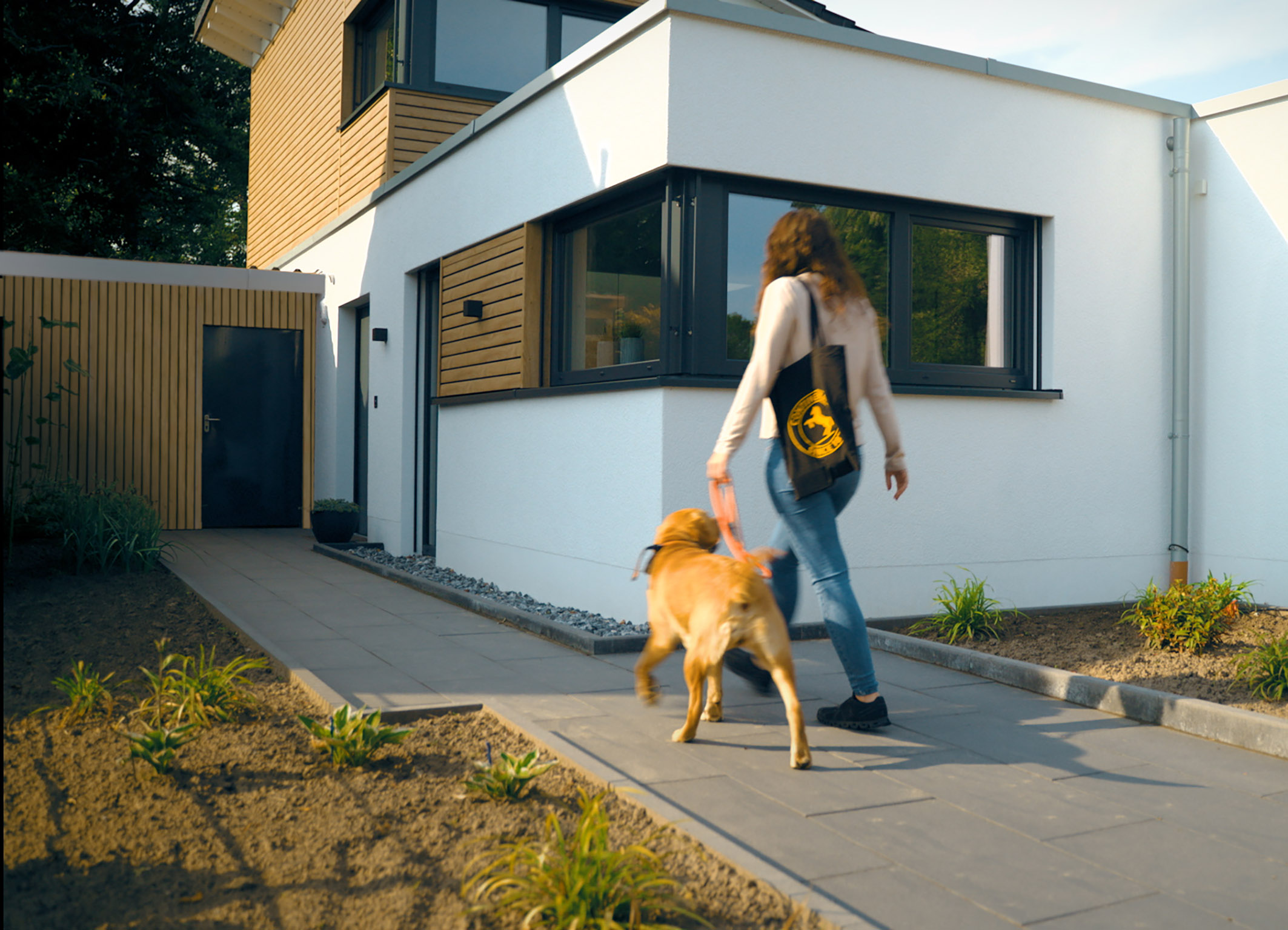 New Surface Materials from Continental Connect the Interior and ...